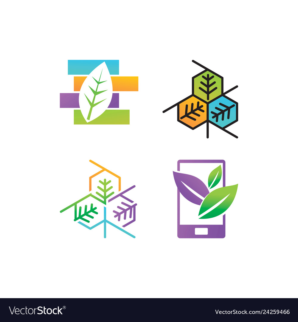 Leaf logo design template set Royalty Free Vector Image