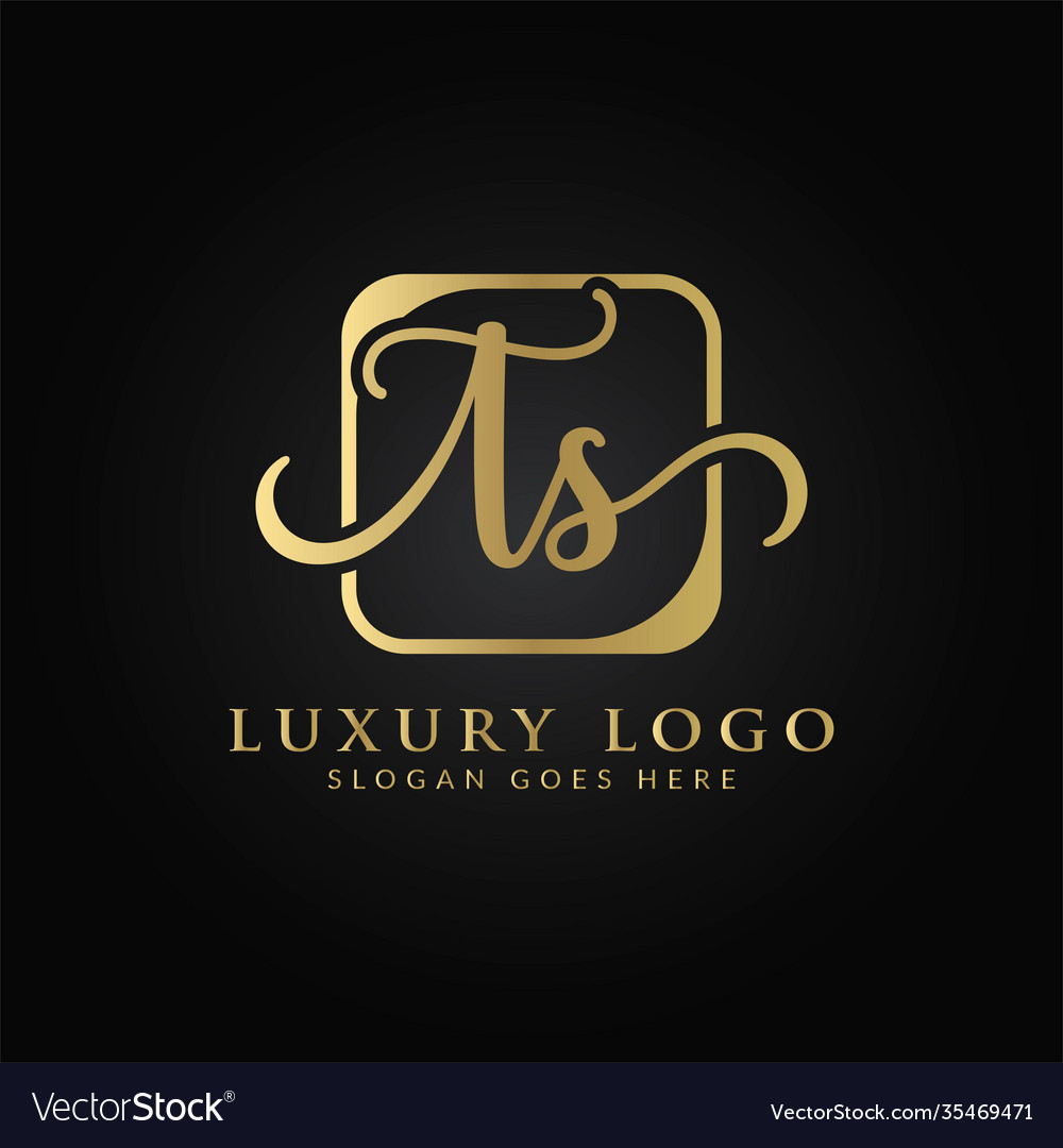 Initial ts letter logo design template abstract Vector Image