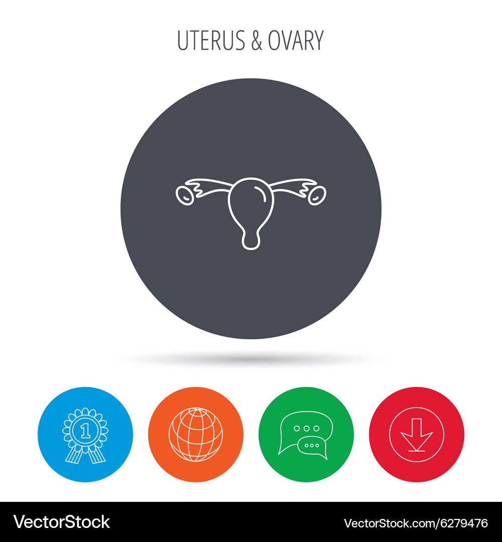 Uterus icon ovary sign Royalty Free Vector Image