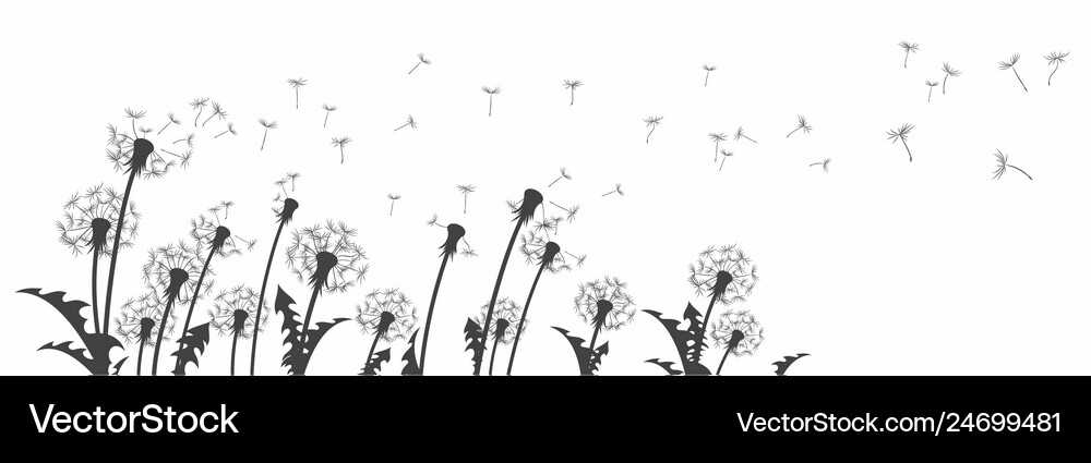 Dandelion flowers with flying seeds Royalty Free Vector