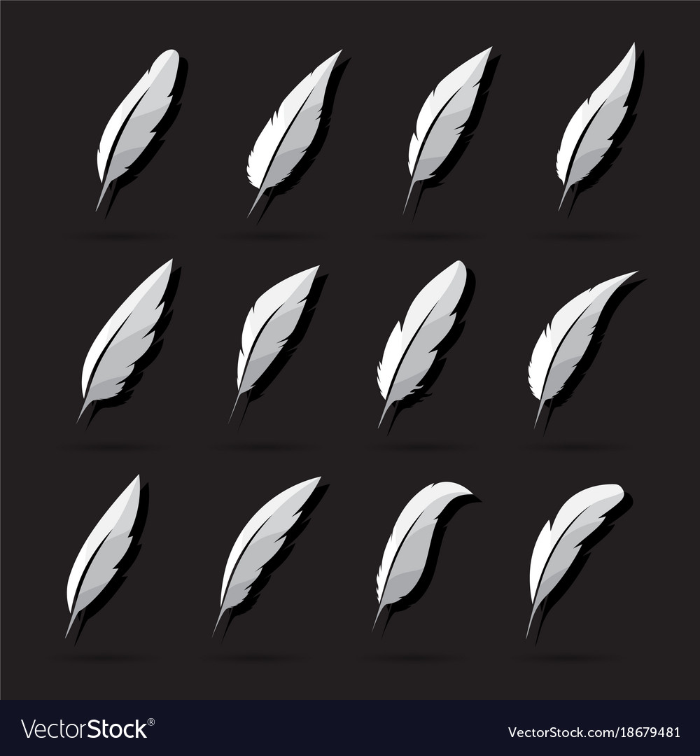 Group of feather on white background icon Vector Image