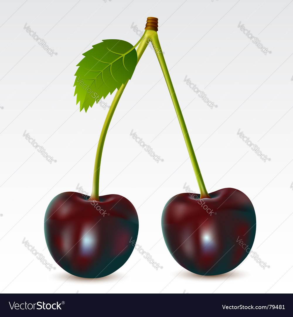 Herry Royalty Free Vector Image - VectorStock