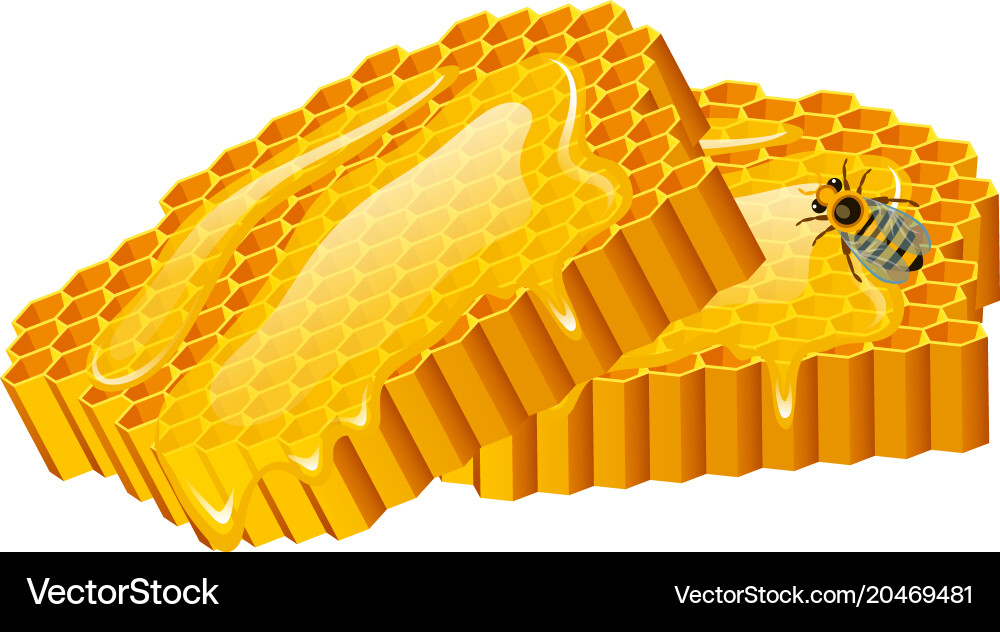 Honey set bee and hive honeycomb hive Royalty Free Vector