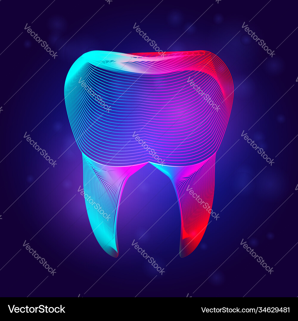 Human tooth medical structure outline dental Vector Image