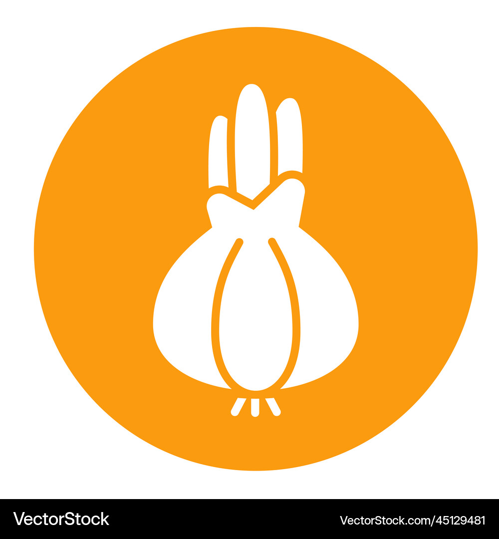 Onion isolated design glyph icon vegetable sign Vector Image