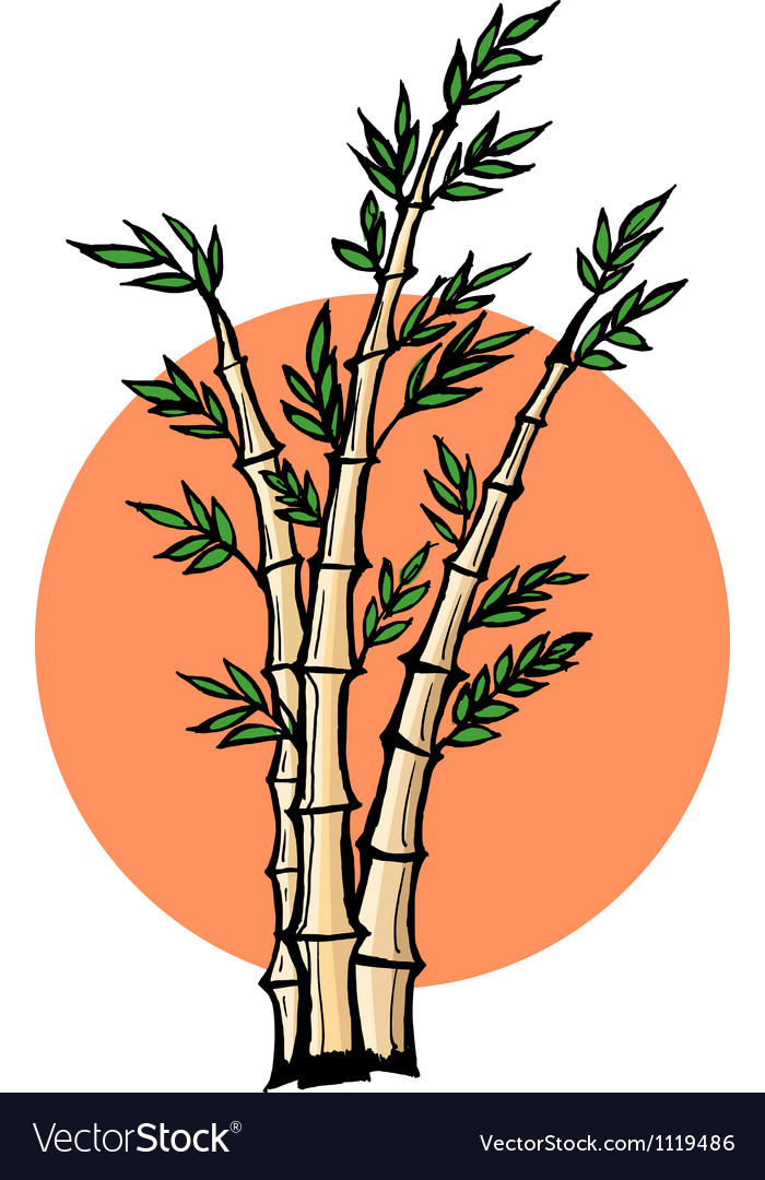 Bamboo Royalty Free Vector Image - VectorStock Bamboo Royalty Free Vector Image - VectorStock