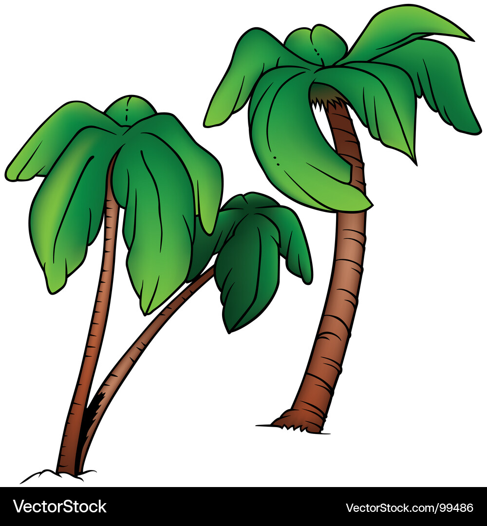 Cartoon Palm Trees Royalty Free Vector Image - VectorStock