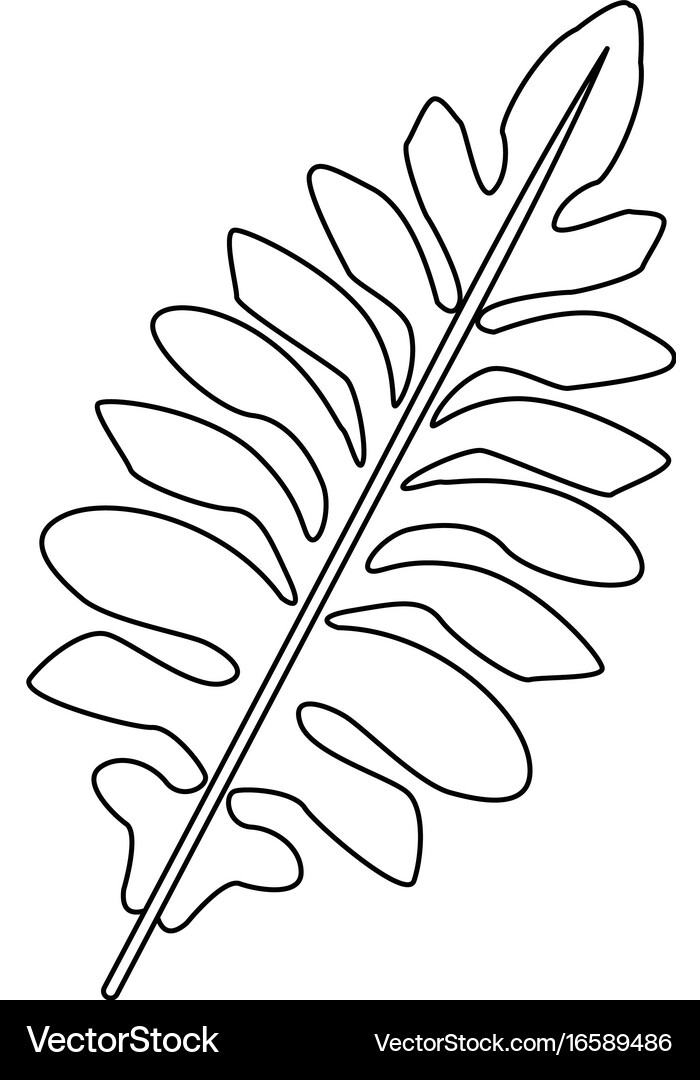 Nature leave foliage botanical image isolated on Vector Image