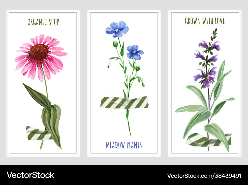 Three vertical banners with wild flowers and tape Vector Image