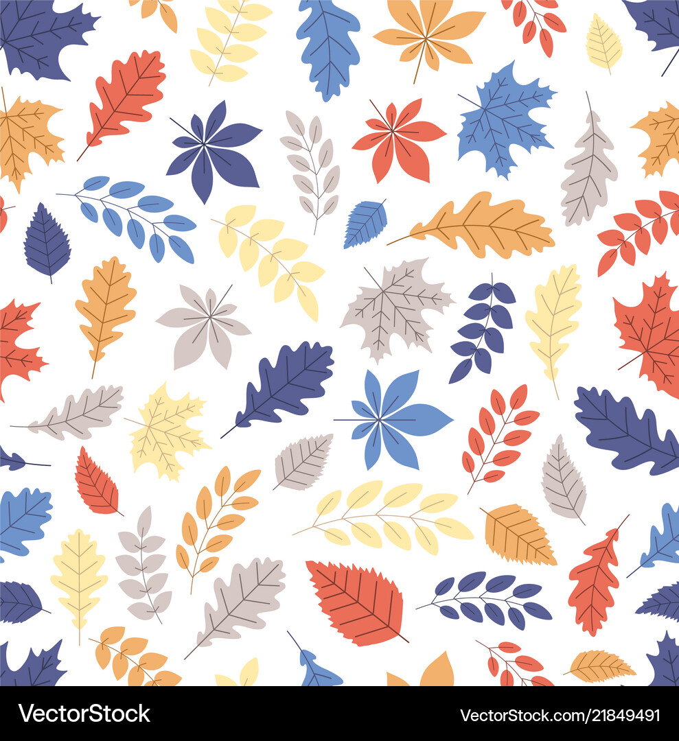 White autumn background with color leaves Vector Image