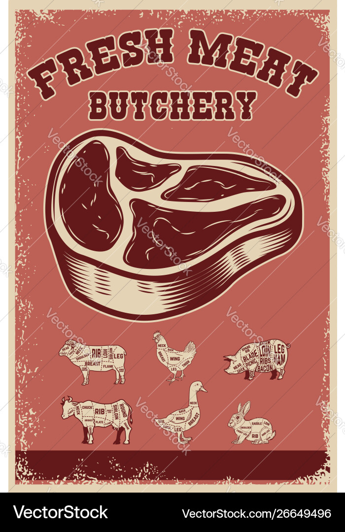 Fresh meat poster template with meat cut Vector Image