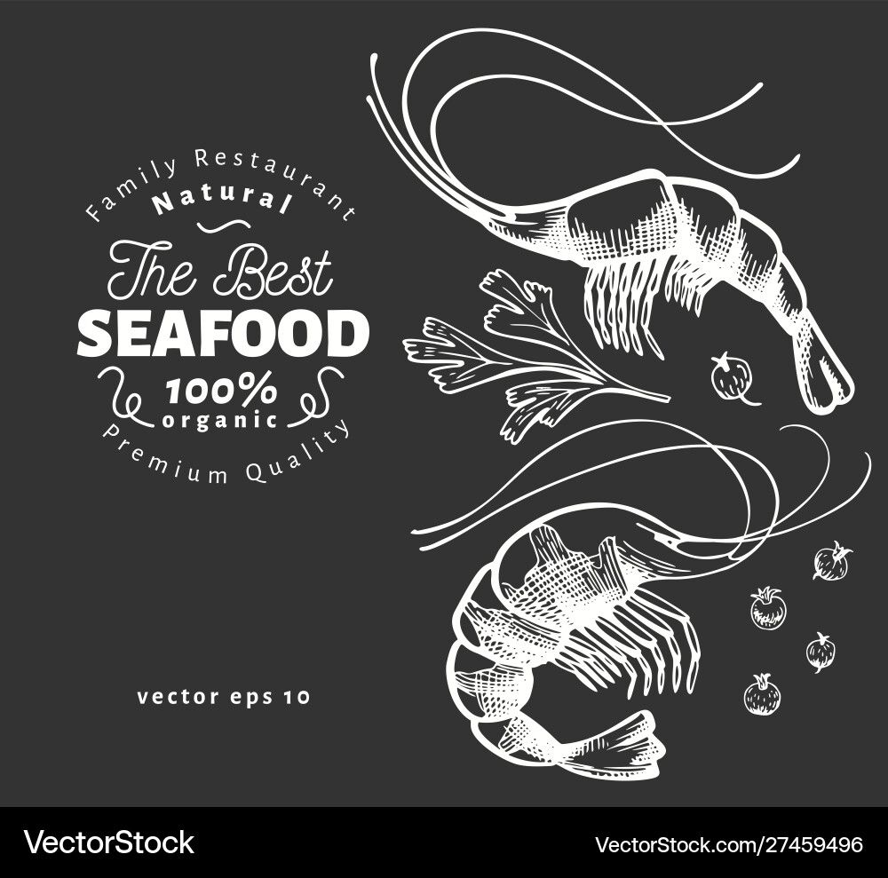 Prawns hand drawn seafood on chalk board Vector Image