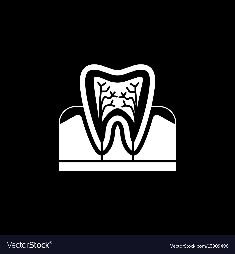 Zahn anatomisch solide Ikone Lizenzfreies Vektorbild