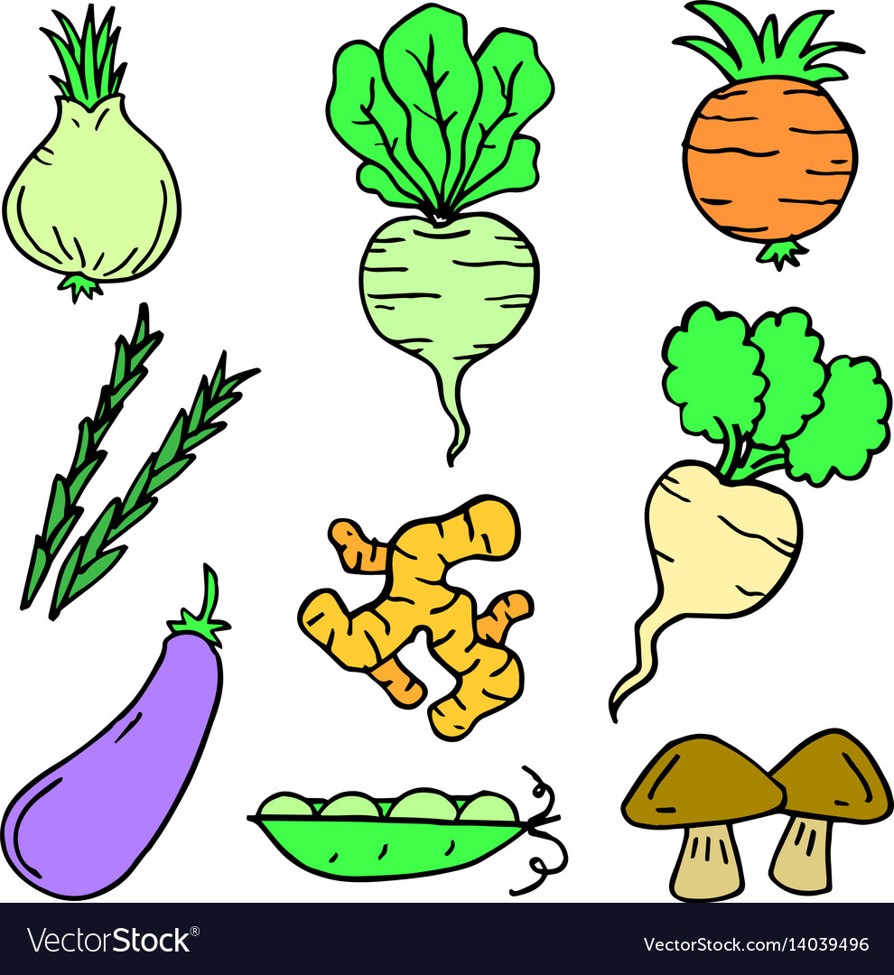 Vegetable set Royalty Free Vector Image - VectorStock