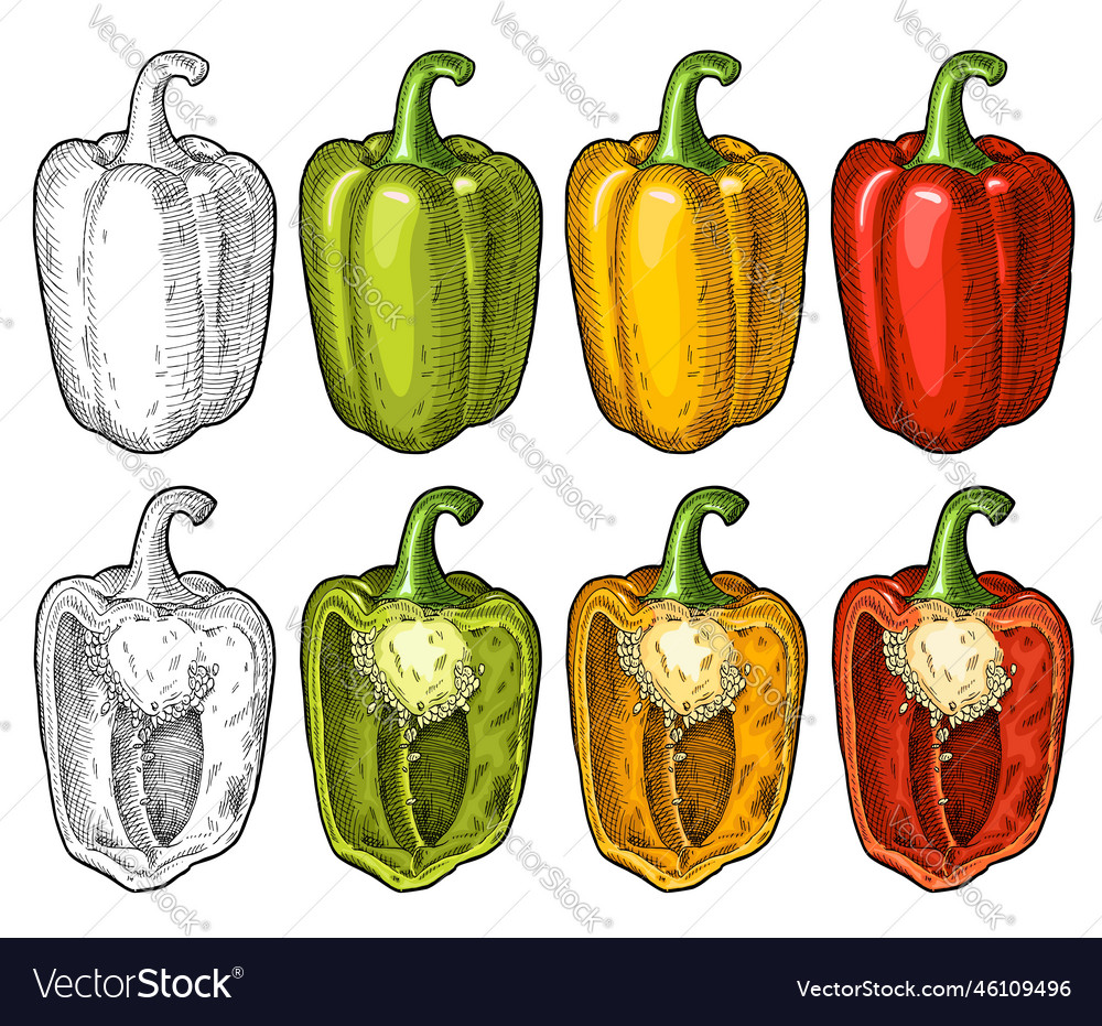 Whole and half red green yellow sweet bell Vector Image Whole and half red green yellow sweet bell Vector Image