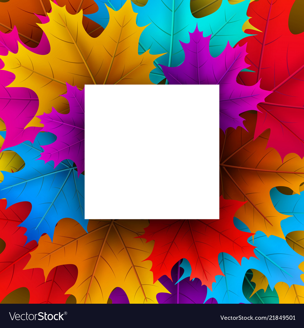 Autumn background with square frame and maple Vector Image