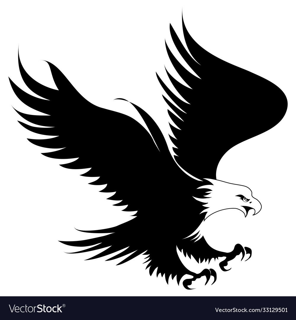 Eagle flying Royalty Free Vector Image - VectorStock Eagle flying Royalty Free Vector Image - VectorStock