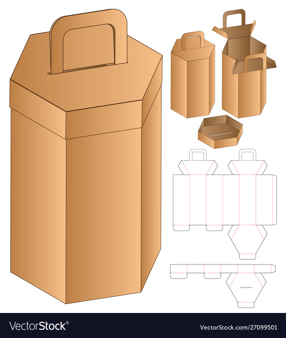 Hexagon Box Packaging Die Cut Template Design 3d Vector Image