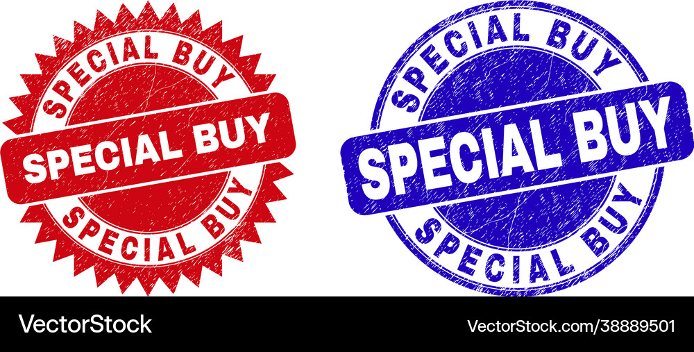 Special buy round and rosette watermarks Vector Image