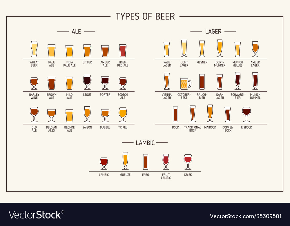 Types beer various types beer Royalty Free Vector Image