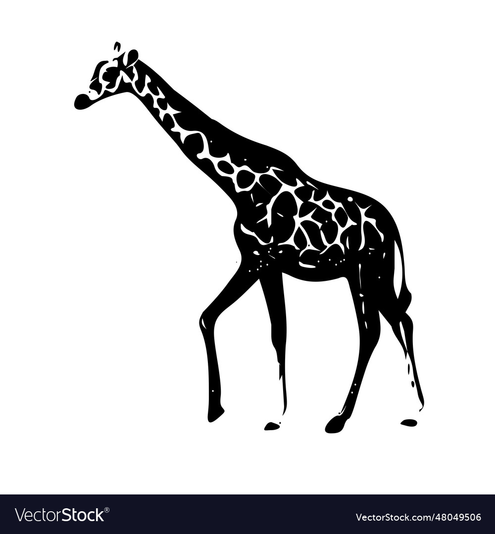 Giraffe image Royalty Free Vector Image - VectorStock