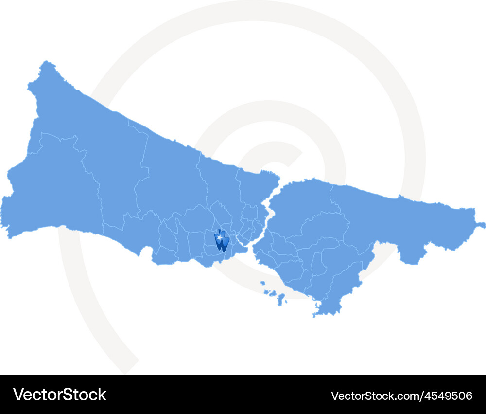 Istanbul map with administrative districts where Vector Image