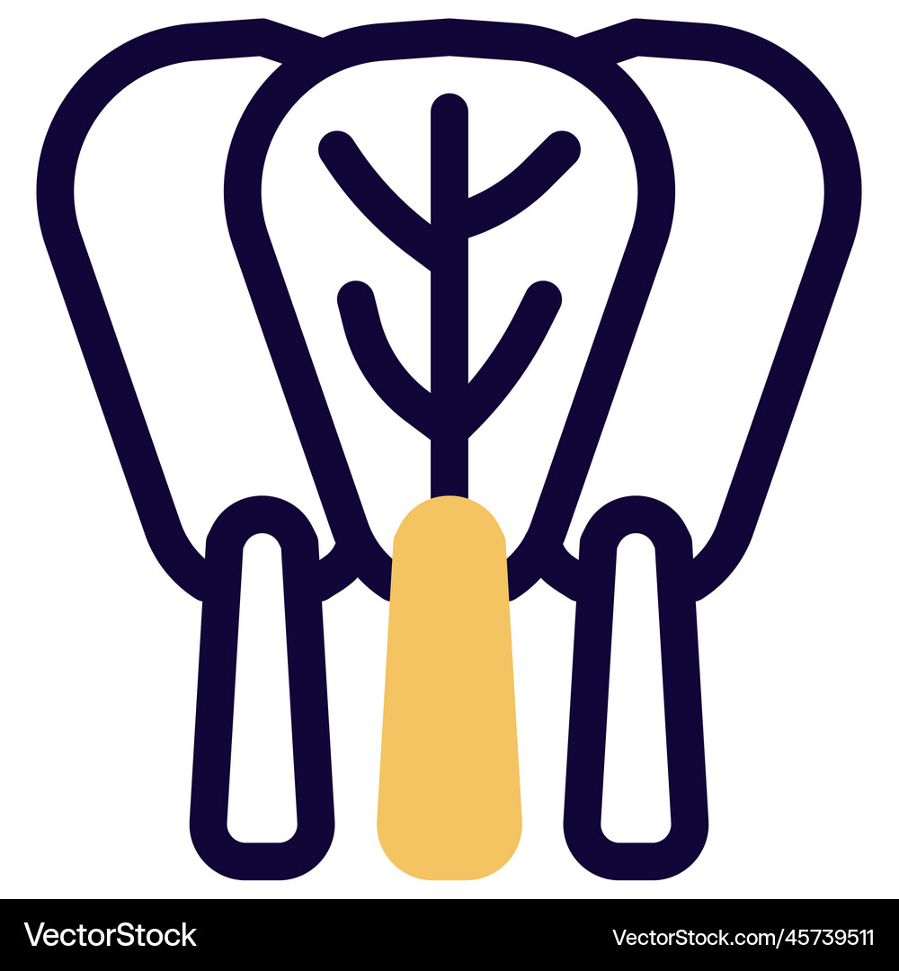 Leafy swiss chard kept for meal Royalty Free Vector Image