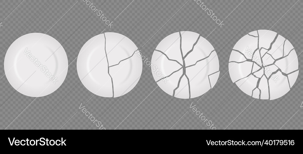 Broken white plates and one whole plate mockup Vector Image