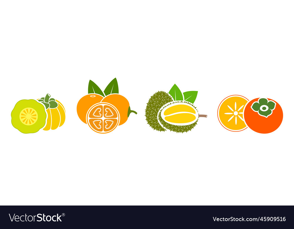 Fruit Royalty Free Vector Image - VectorStock