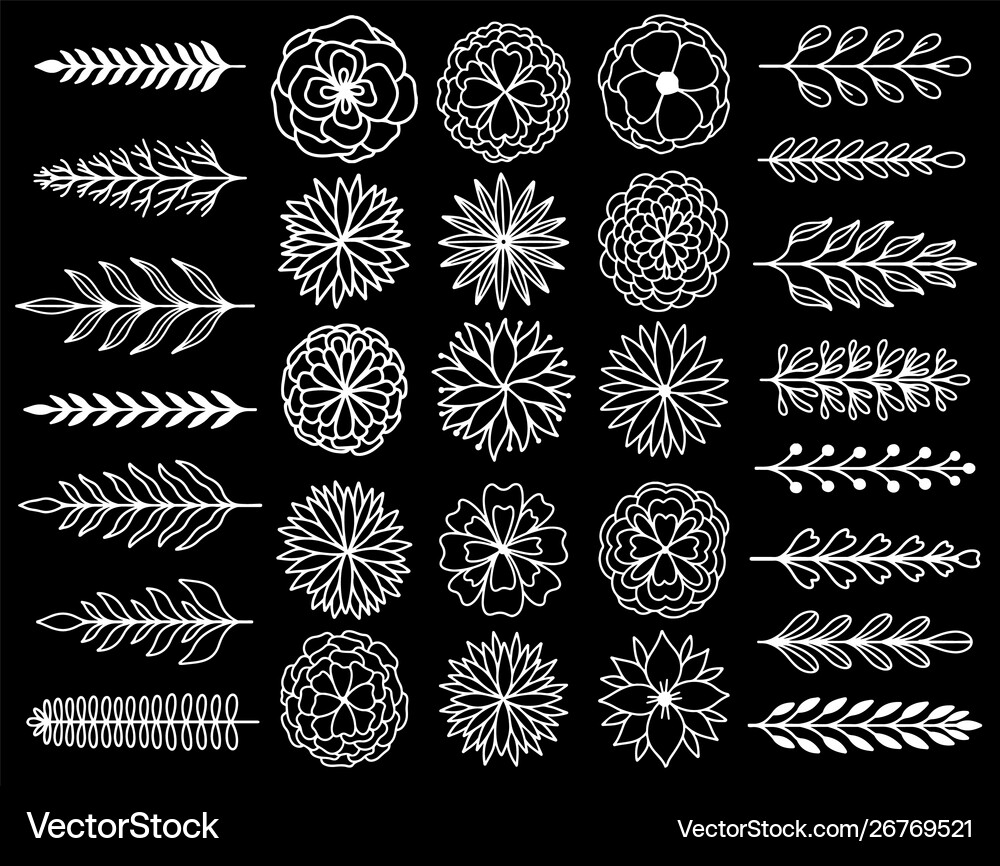 Abstract branch leaves nature and flower set Vector Image