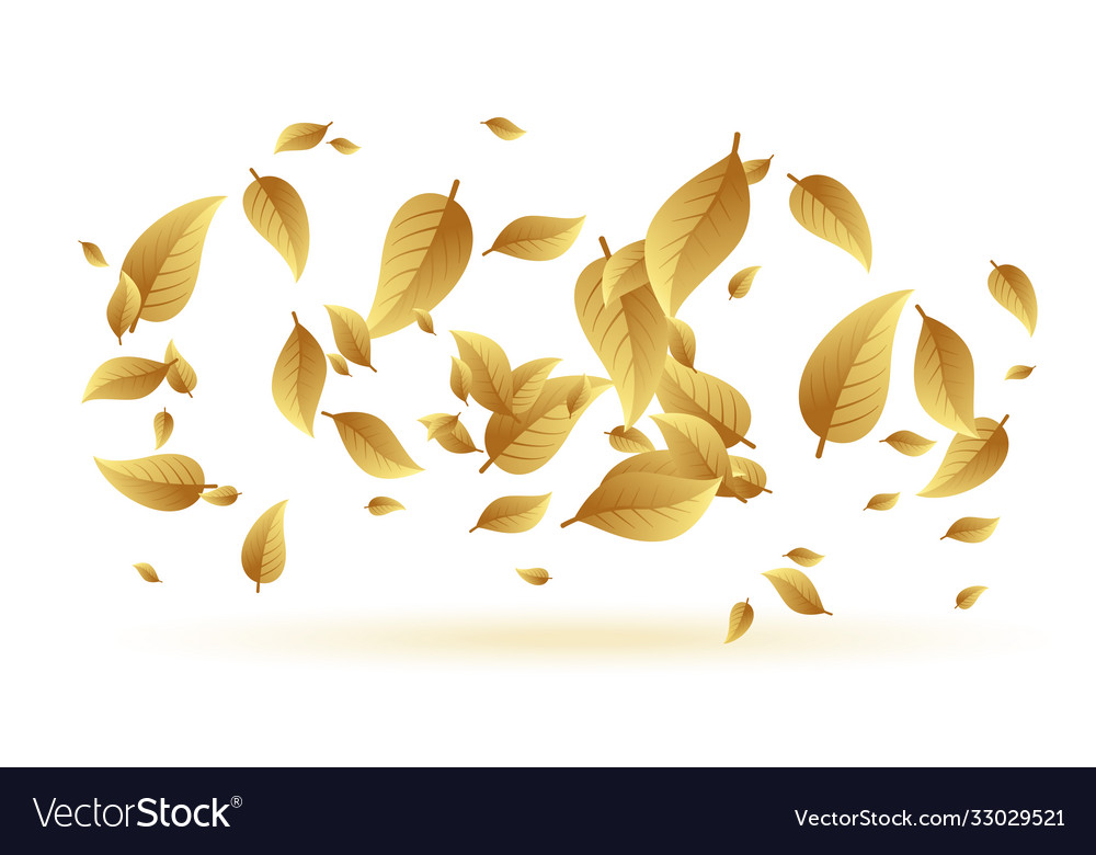 Falling or floating leaves background design Vector Image