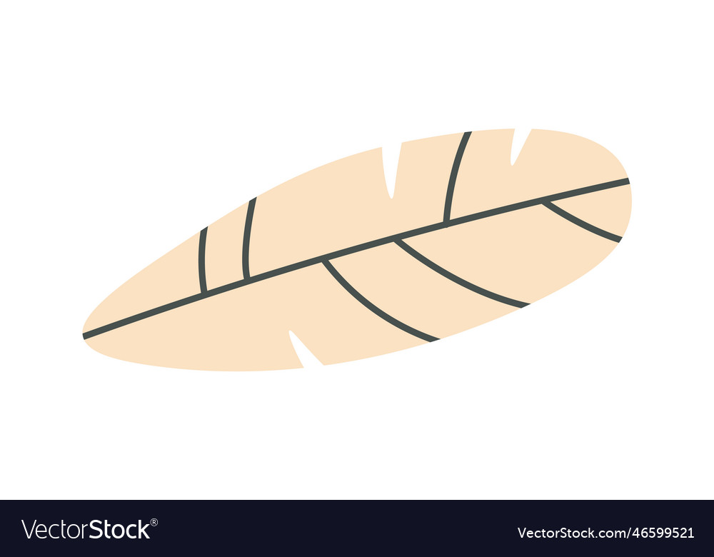 Flat bird feather Royalty Free Vector Image - VectorStock