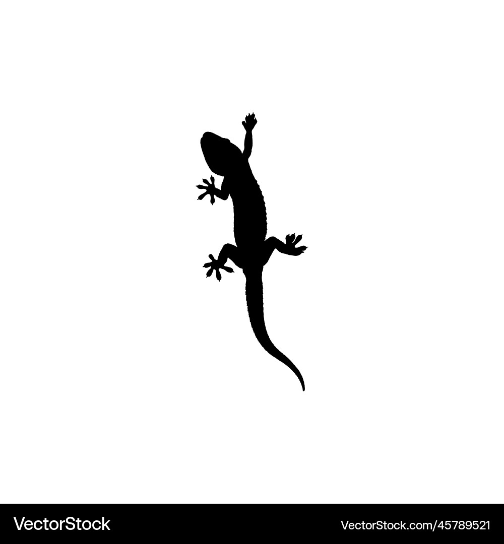 Gecko icon simple style reptiles info poster Vector Image