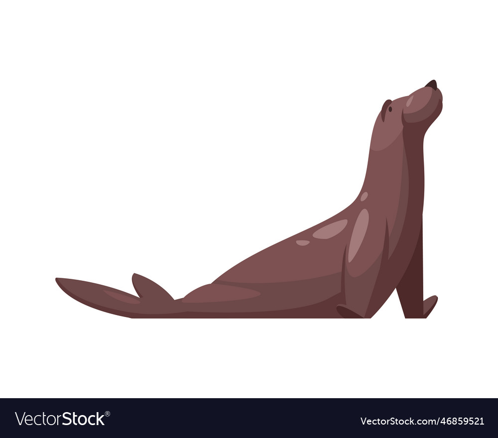 Seal flat Royalty Free Vector Image - VectorStock