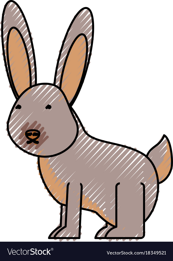 Wild rabbit Royalty Free Vector Image - VectorStock