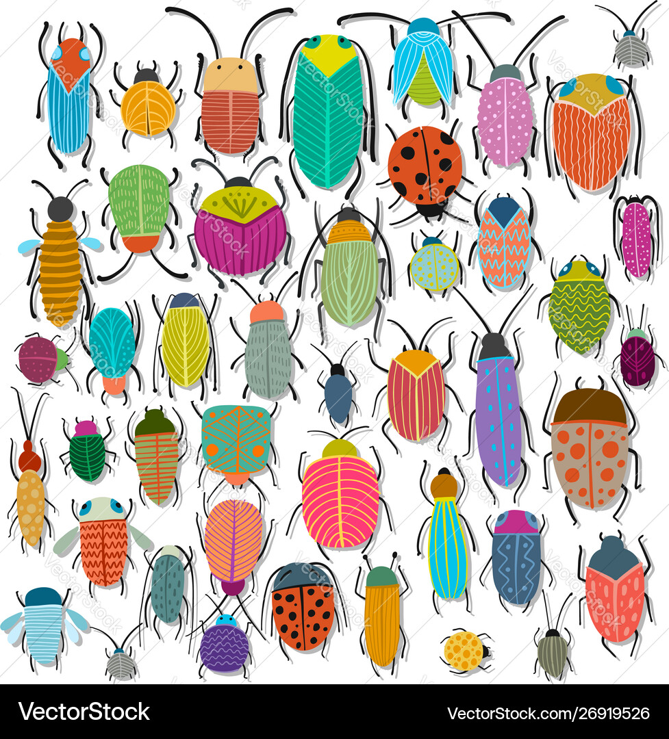 Funny beetles collection for your design Vector Image