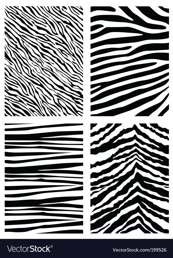 Zebra pattern Royalty Free Vector Image - VectorStock