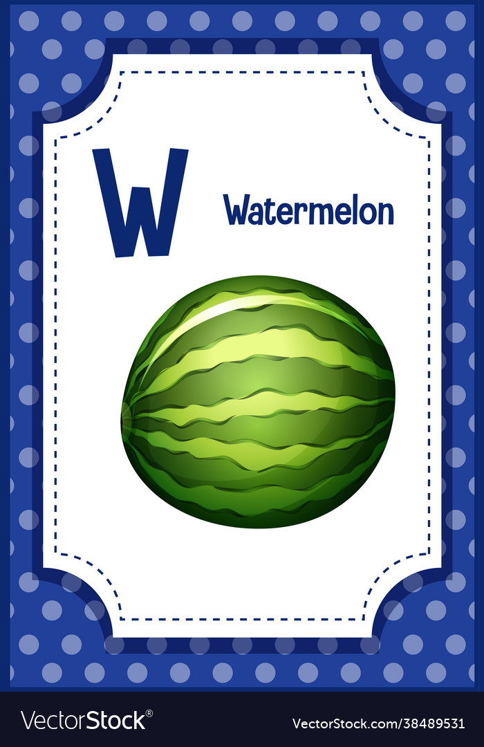 Alphabet flashcard with letter w for watermelon Vector Image
