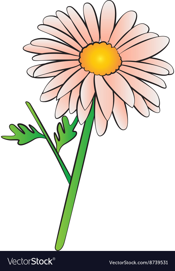 Daisy Royalty Free Vector Image - VectorStock