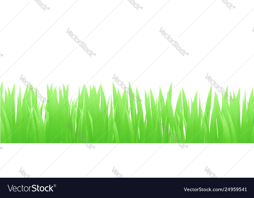 Grass border Royalty Free Vector Image - VectorStock