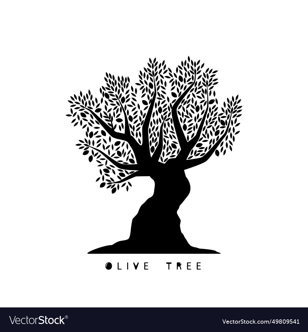 Olive tree Royalty Free Vector Image - VectorStock