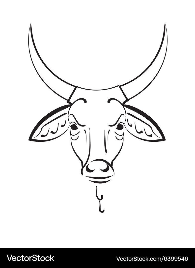 Head indian sacred cow zebu Royalty Free Vector Image