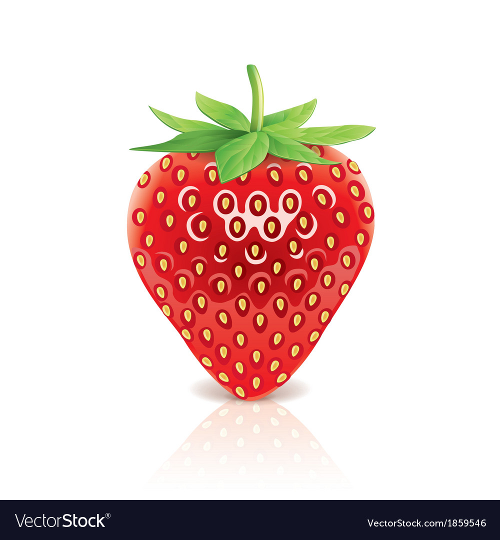 Object strawberry Royalty Free Vector Image - VectorStock
