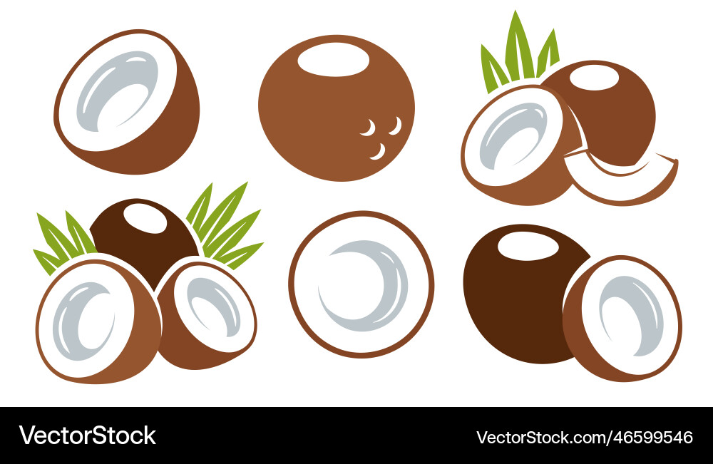 Set of coconut icons Royalty Free Vector Image