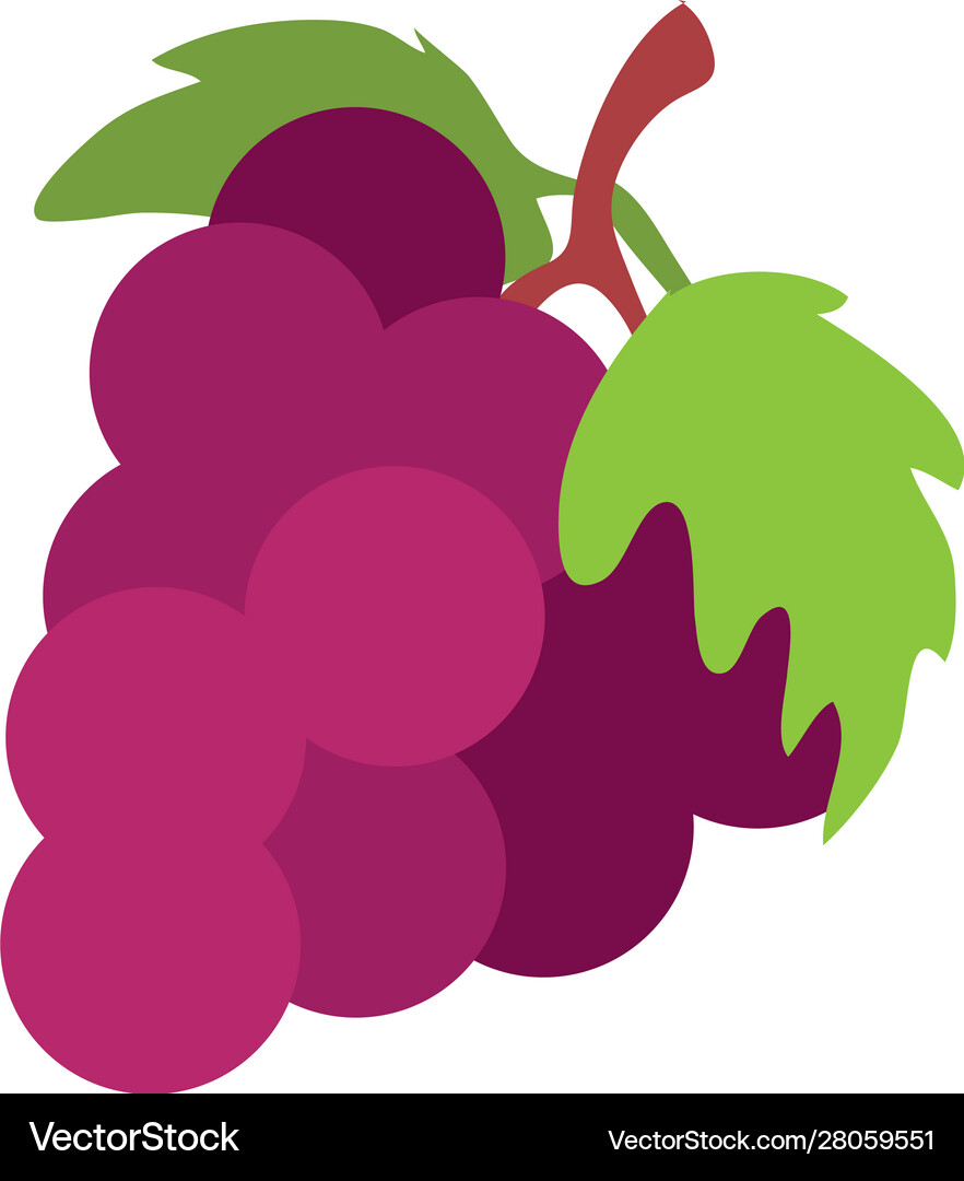 Grapes fruits flat style icon Royalty Free Vector Image