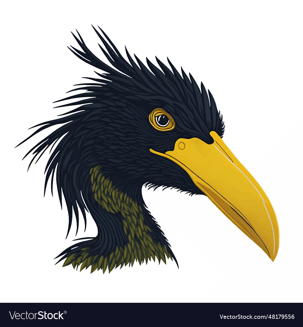 Anhinga head isolated on white background Vector Image