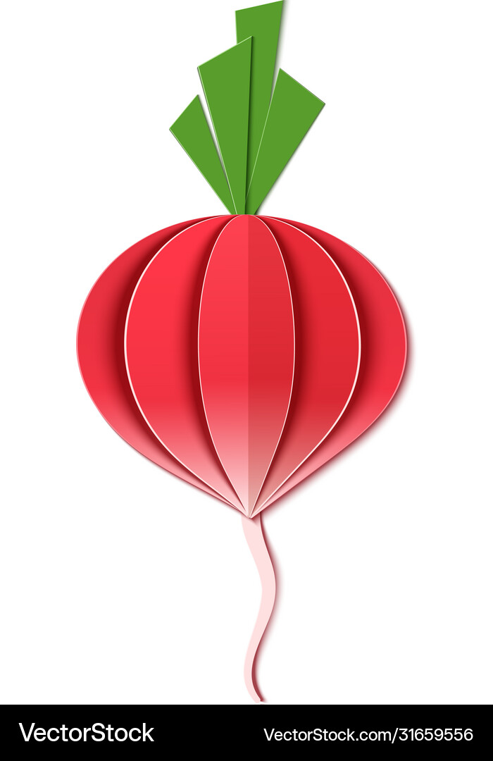 Paper cut style red radish Royalty Free Vector Image