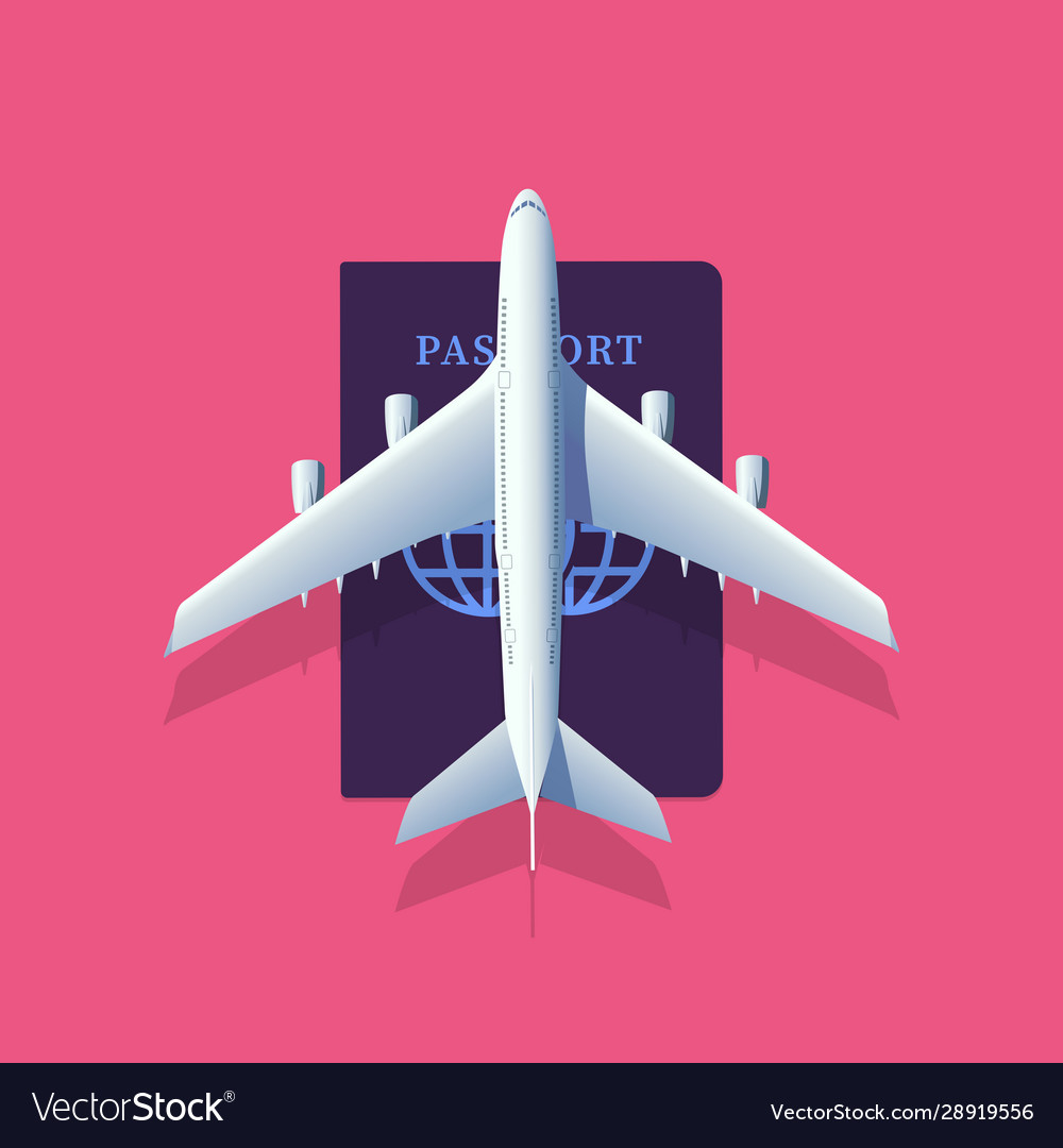 Plane Is Flying On Passport Royalty Free Vector Image