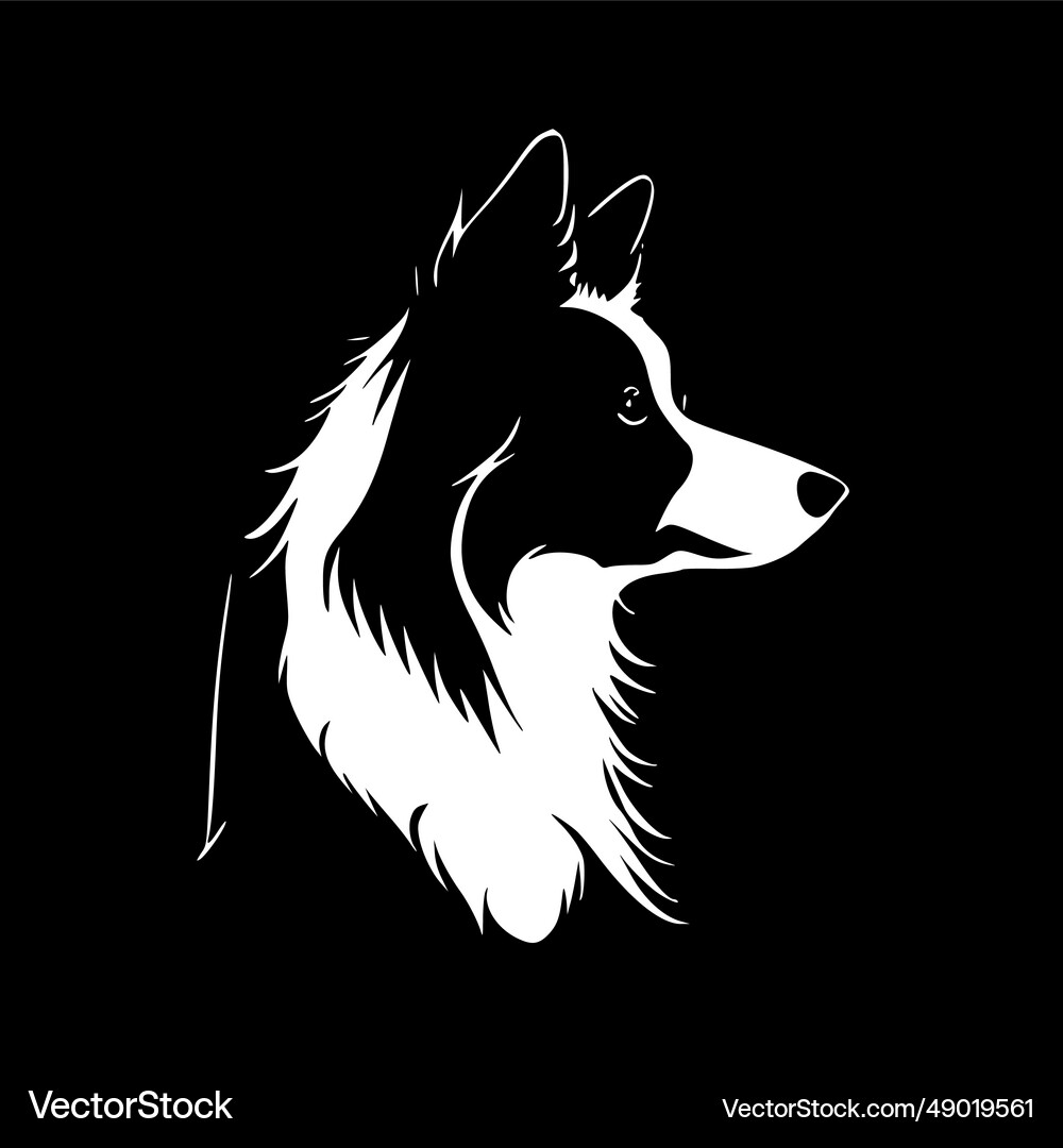 Border collie - minimalist and simple silhouette Vector Image