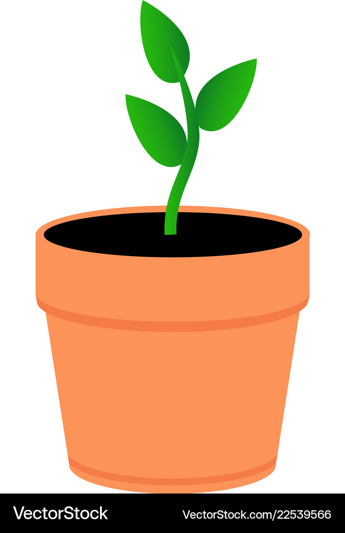 Young Plant in Orange Pot Royalty Free Vector Image